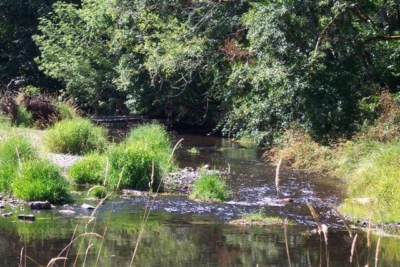 Photo Gallery - Camp Cedar Ridge: Vernonia, Oregon